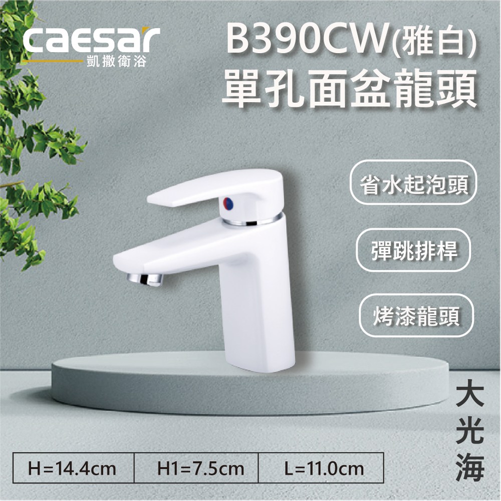 【凱撒CAESAR】凱撒衛浴 單孔面盆龍頭(附彈跳排桿)B390CW｜衛浴設備｜特力屋．特力屋線上購物