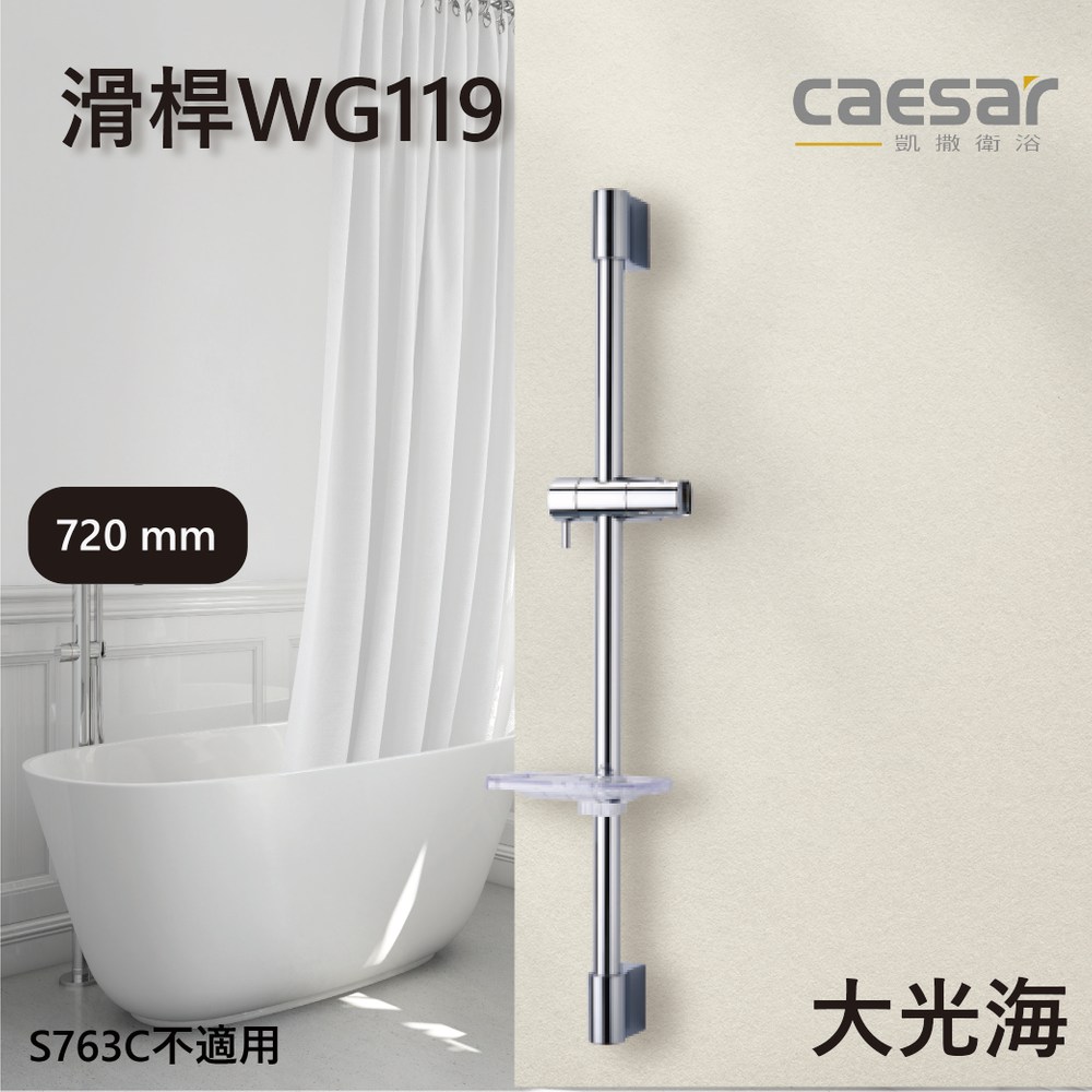 凱撒衛浴 CAESAR 滑桿WG119｜衛浴設備｜特力屋．特力屋線上購物