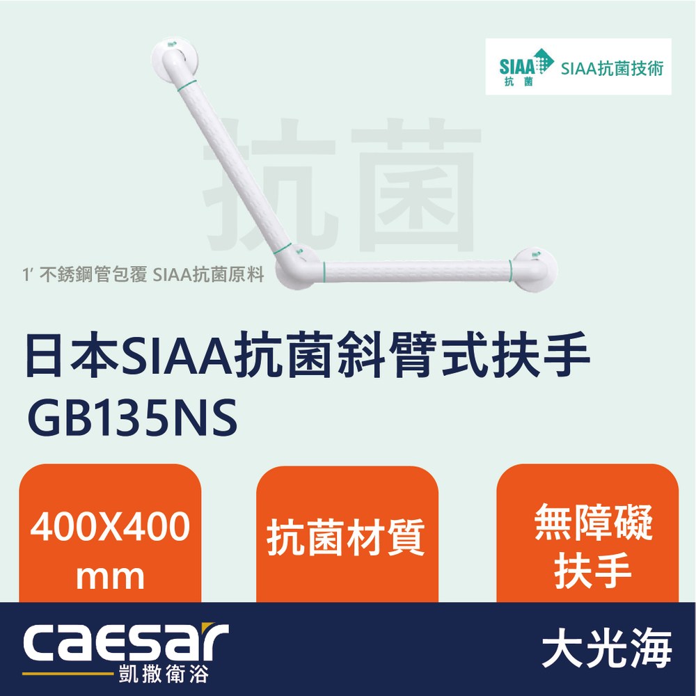 凱撒衛浴CAESAR日本SIAA抗菌斜臂式扶手GB135NS｜衛浴設備｜特力屋．特力屋線上購物