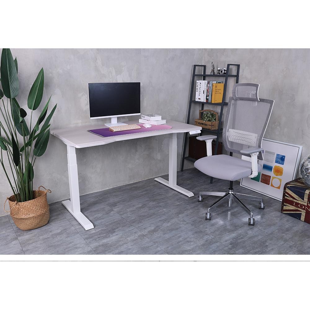 irocks 電動升降桌160x80cm 北歐雲杉D01-DX 不含組裝｜家具床墊｜特力屋．特力屋線上購物