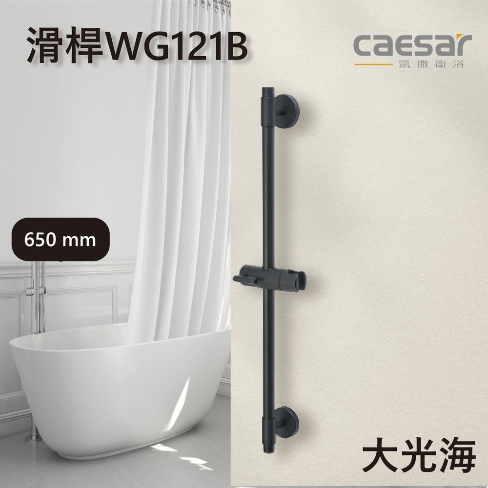 凱撒衛浴 CAESAR 滑桿WG121B｜衛浴設備｜特力屋．特力屋線上購物