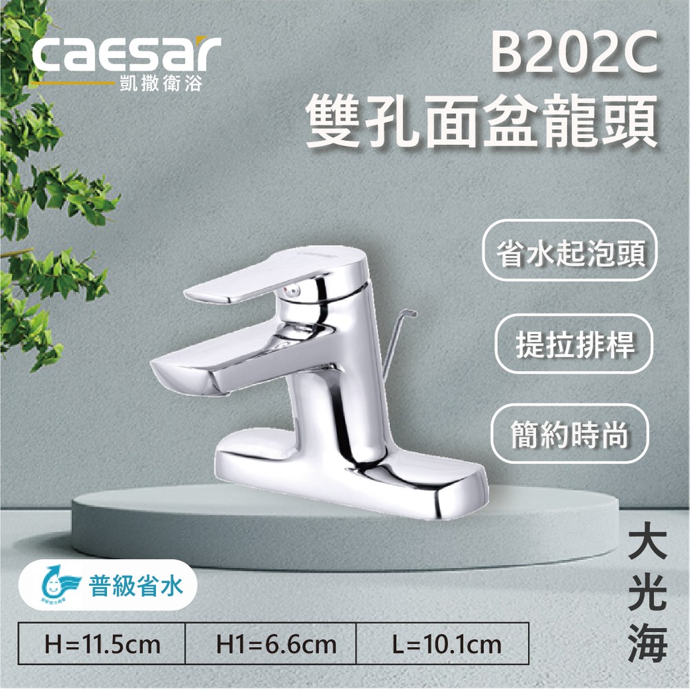 【凱撒CAESAR】凱撒衛浴 雙孔面盆龍頭B202C｜衛浴設備｜特力屋．特力屋線上購物