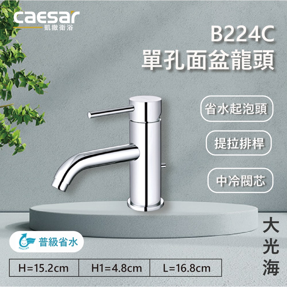 【凱撒CAESAR】凱撒衛浴 單孔面盆龍頭(附提拉排桿)B224C｜衛浴設備｜特力屋．特力屋線上購物