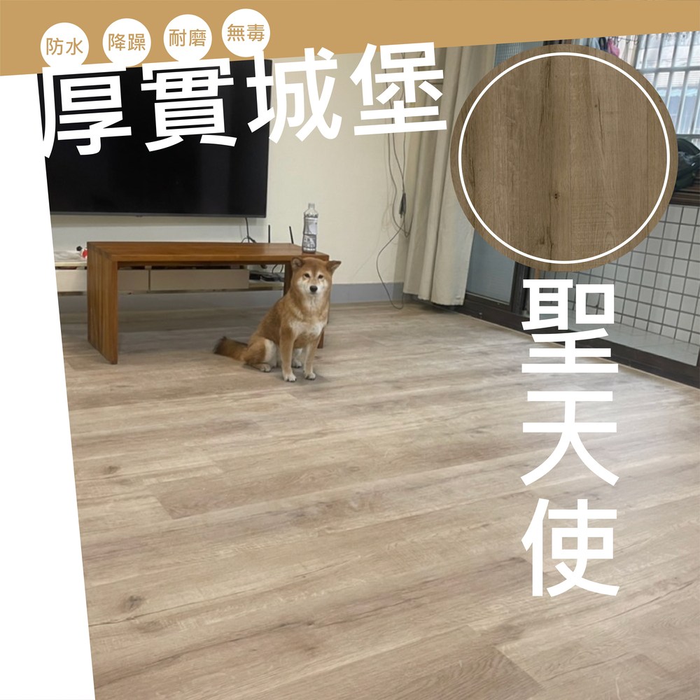 山井 SPC卡扣式地板 假期系列-0.51坪-2聖天使｜地板油漆｜特力屋．特力屋線上購物