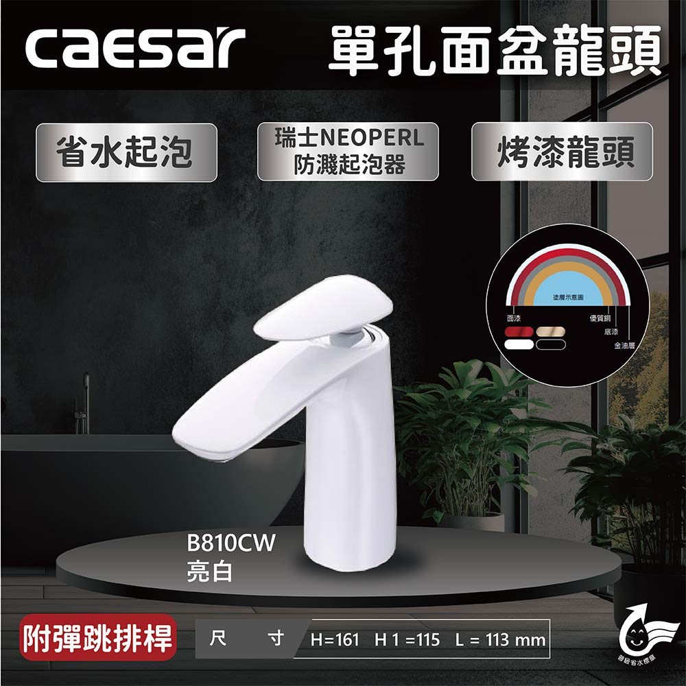 【凱撒CAESAR】凱撒衛浴 單孔面盆龍頭B810CW(附彈跳排桿)｜衛浴設備｜特力屋．特力屋線上購物