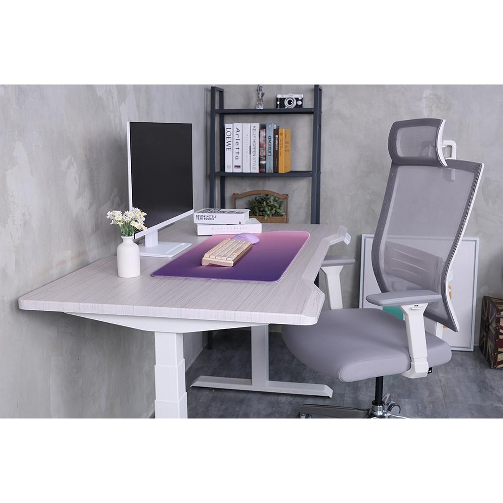 irocks電動升降桌 180x80cm 北歐雲杉D01-DX 不含組裝｜家具床墊｜特力屋．特力屋線上購物