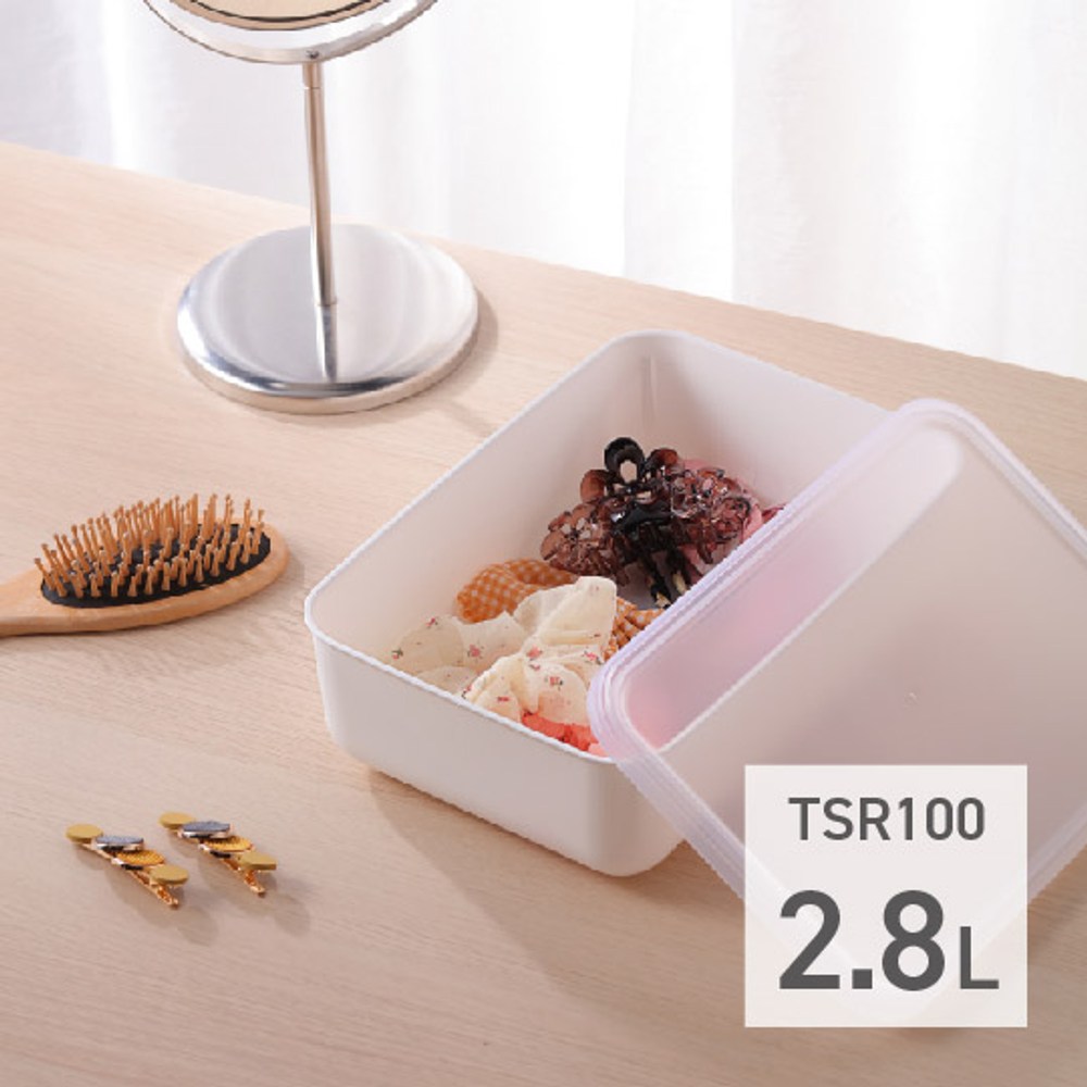 TSR-100 無雙1號收納盒｜層架收納｜特力屋．特力屋線上購物