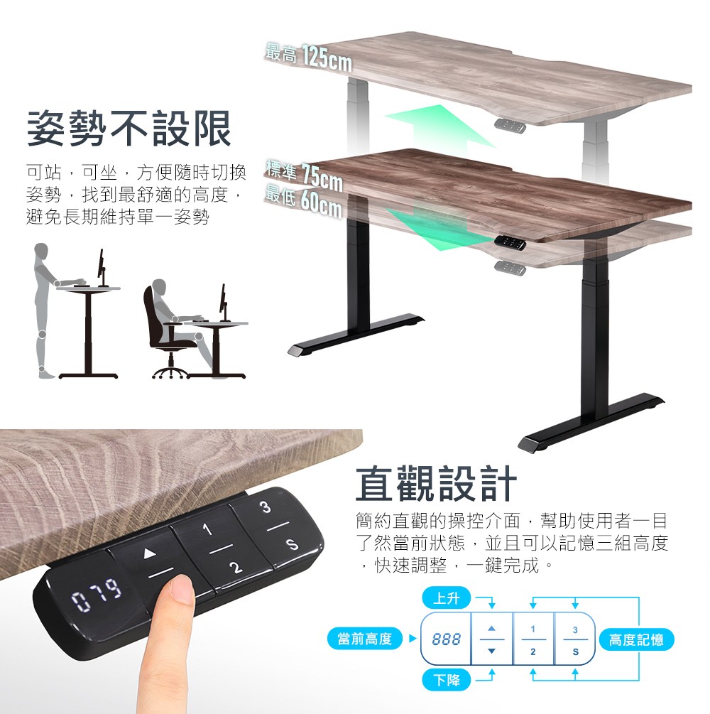 irocks D01-DX 電動升降桌 160x80cm 菸草橡木 不含組裝｜家具床墊｜特力屋．特力屋線上購物