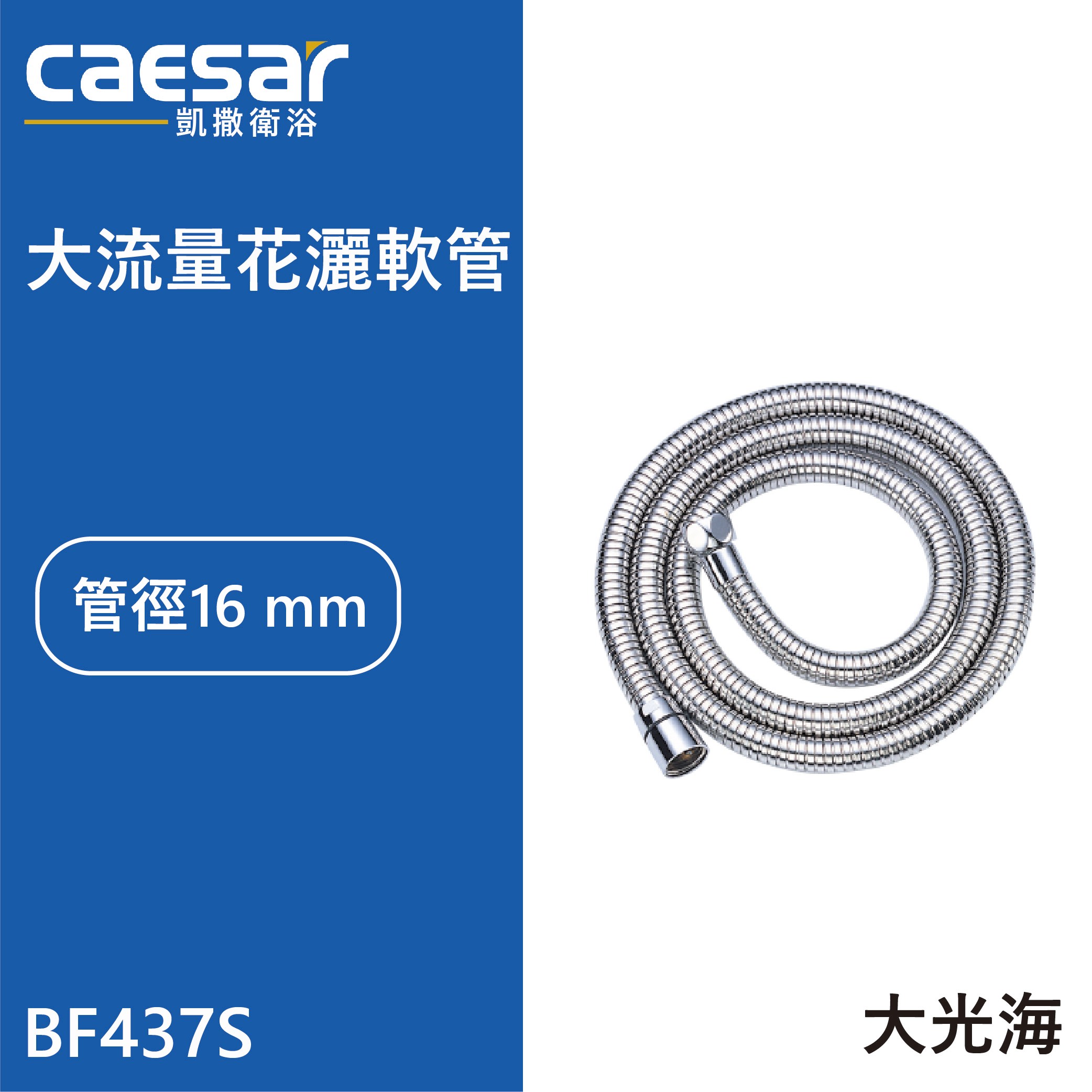 凱撒衛浴 CAESAR 大流量花灑軟管BF437S｜衛浴設備｜特力屋．特力屋線上購物